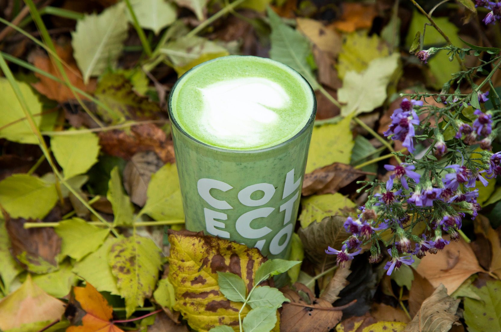 Get Cozy With Our New Winter Drink Menu! – Colectivo Coffee